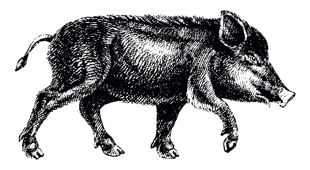 Resources – National Feral Pig Action Plan