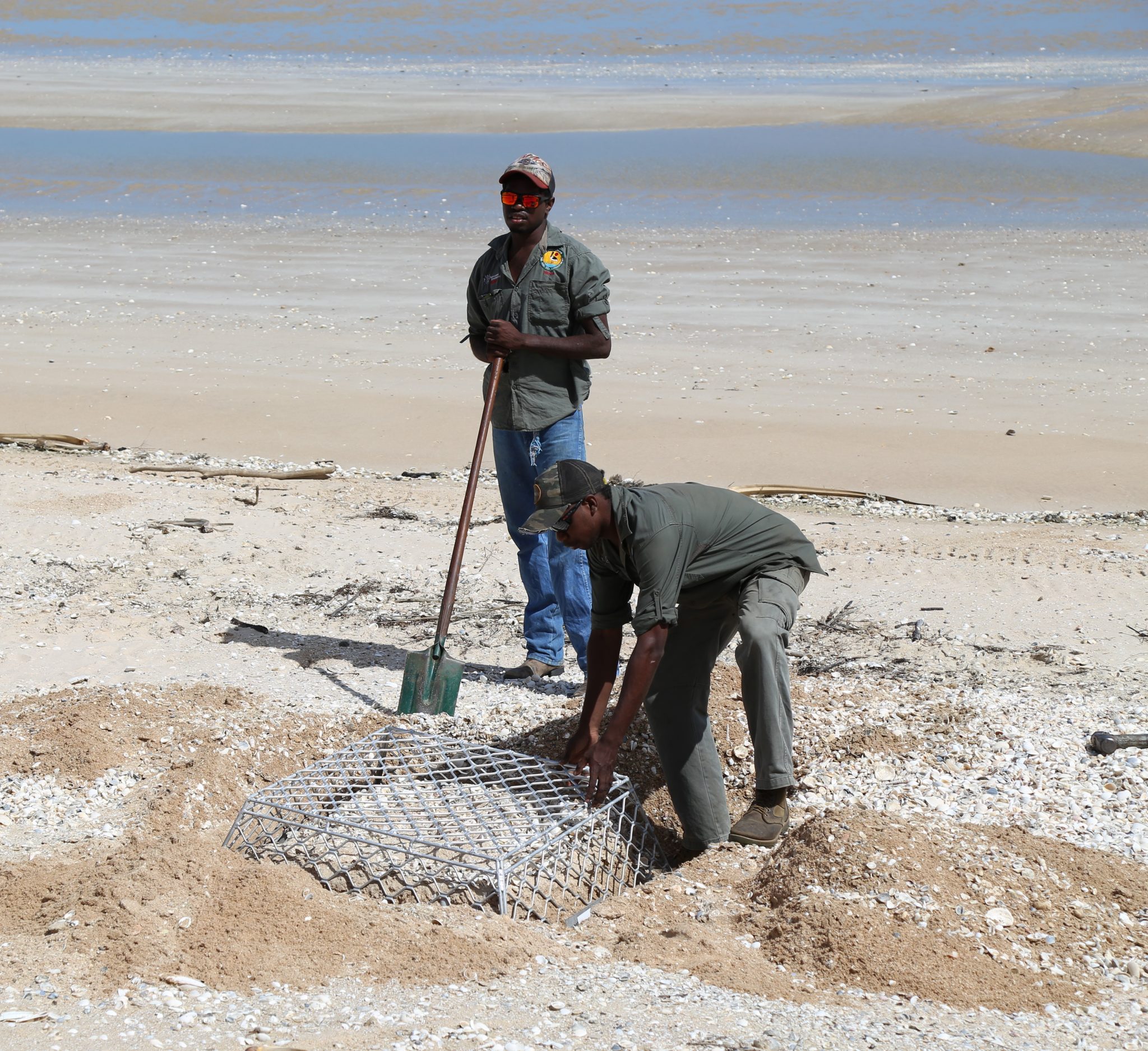 Cape York, FNQ – National Feral Pig Action Plan