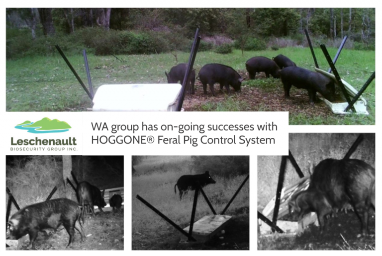 WA – National Feral Pig Action Plan